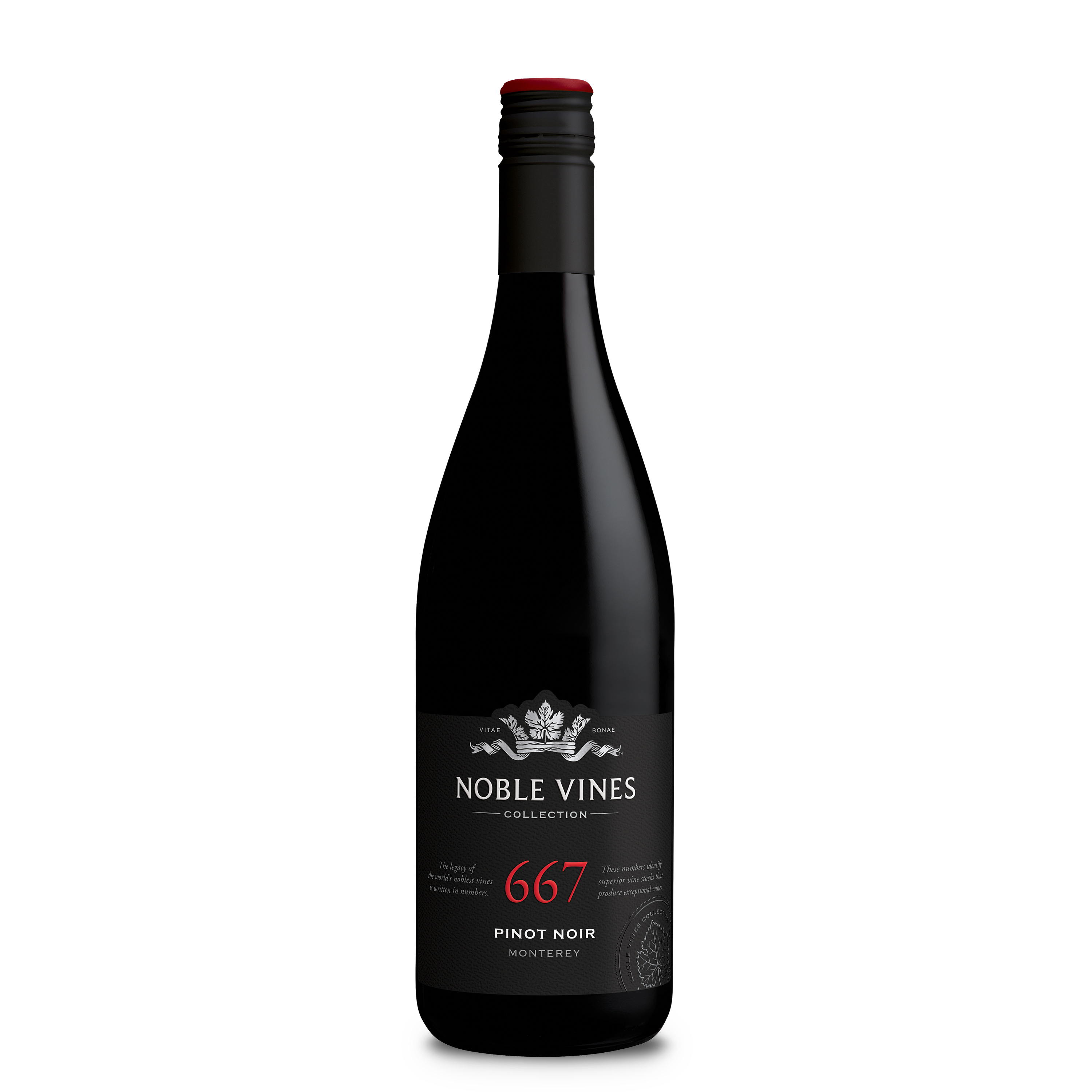 Buy Noble Vines Pinot Noir 667 750ML Online – Craft City