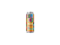 Nova Kombucha PEACH, PASSION FRUIT – Craft City