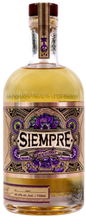 Buy Siempre Repo Teq Online – Craft City